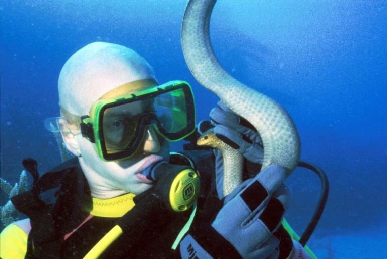 378: Dr. Bryan Fry: Investigating Venom Evolution and Potential for ...